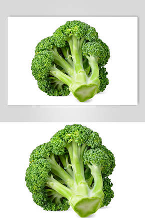 西兰花蔬菜摄影图片模板下载-编号1612539-众图网