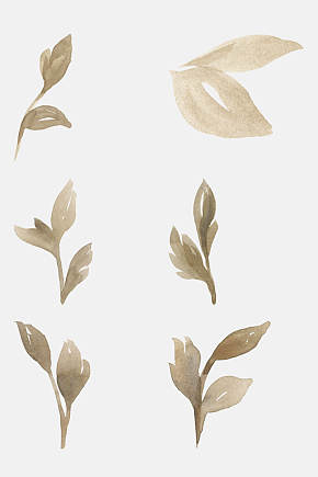 秋季水彩花卉花环叶子免抠元素模板下载-编号1903008-众图网