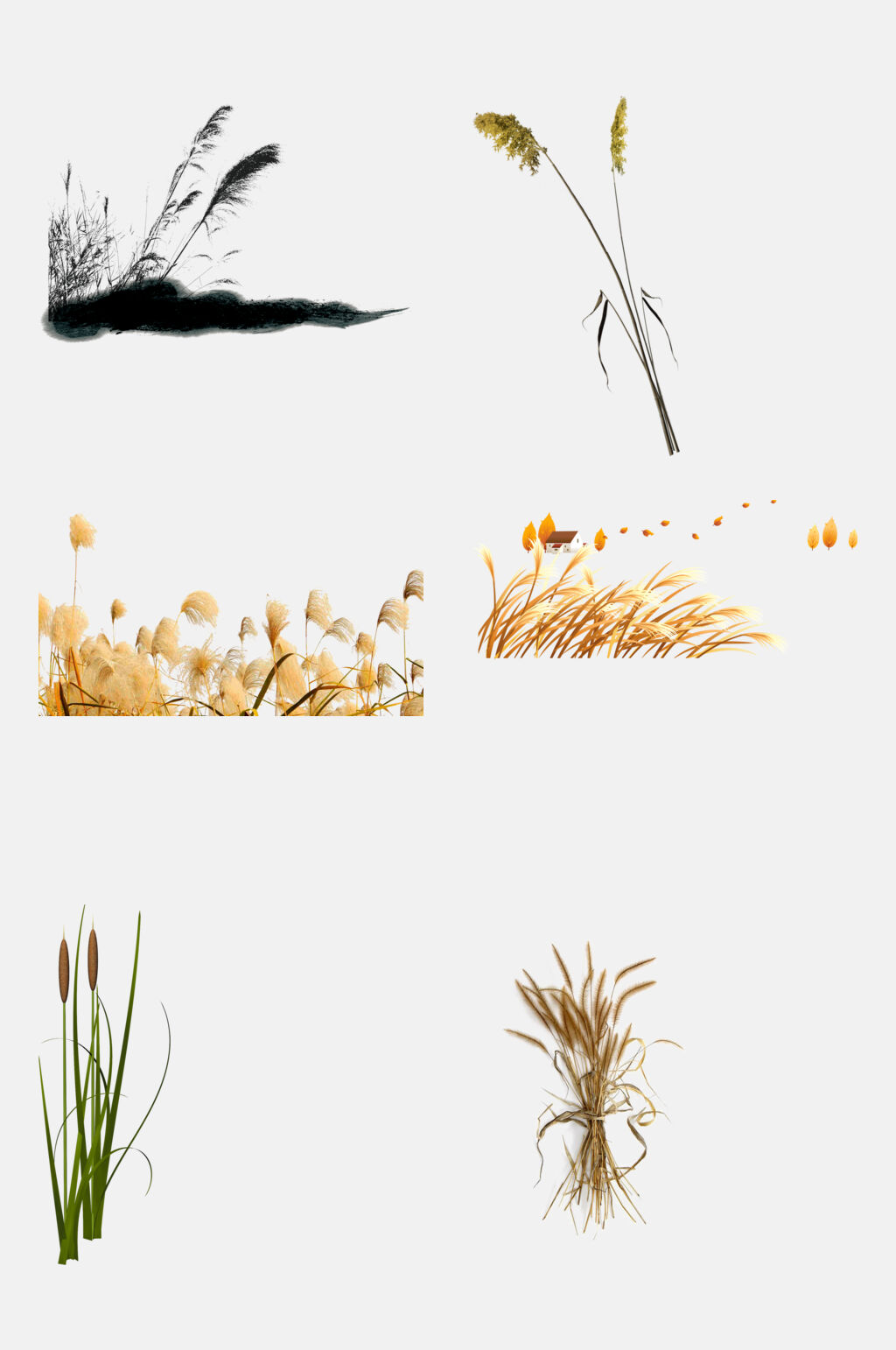 狗尾巴草芦苇飞鸟背景免扣素材模板下载-编号2256914-众图网