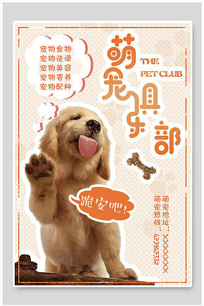 可爱萌宠俱乐部宠物店狗狗海报素材下载-众图网