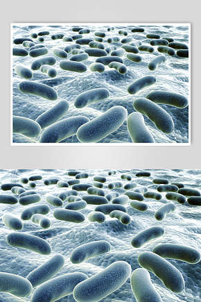 杆状细胞病菌图片素材下载-众图网