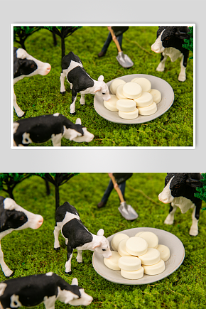 香甜奶酪棒牛奶棒零食摄影图片素材下载-众图网