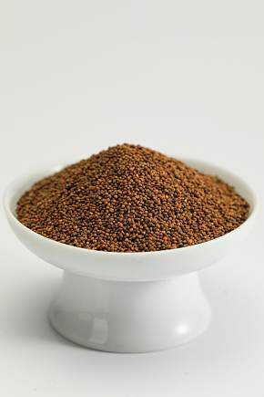 菟丝子中药材中草药中医中药物品摄影图片模板下载-编号4918357-众图网