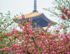 武汉风景画摄影图片素材下载-众图网