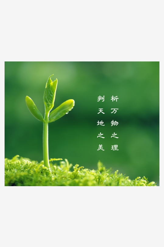 唯美壁纸绿色背景素材_唯美壁纸绿色背景模板_唯美壁纸绿色背景设计图片免费下载-众图网