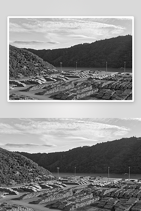 唯美黑白摄影奥克兰风景画摄影图片素材下载-众图网