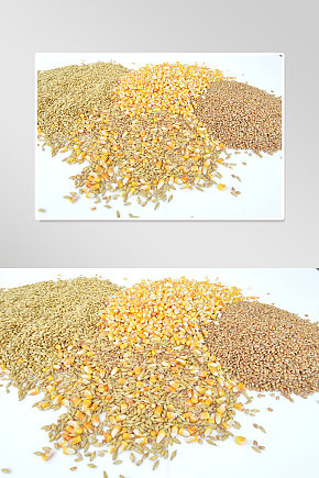 乡村振兴农业种植摄影图素材下载-众图网