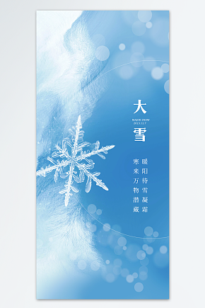 大雪节气海报设计模板素材下载-众图网