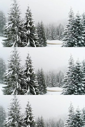 圣诞节冬季大雪纷飞的森林美景实拍 风景视频素材下载-众图网