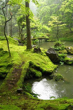 壮丽的户外风景摄影图片模板下载-编号5650573-众图网