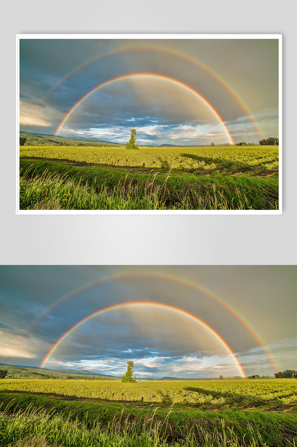 雨后彩虹素材_雨后彩虹模板_雨后彩虹设计图片免费下载-众图网
