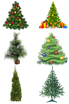 圣诞树松树免扣png圣诞礼物活动氛围素材下载-众图网