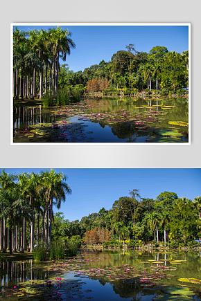 西双版纳摄影图片模板下载-编号5496308-众图网