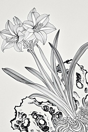 中国画白描花卉植物图形素材下载-众图网