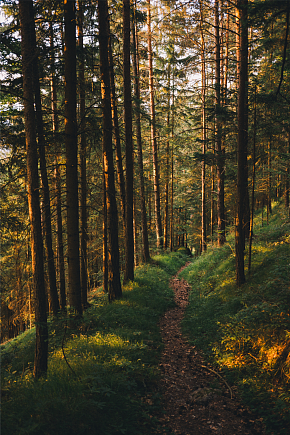 创意高清唯美风景摄影图模板下载-编号5658175-众图网