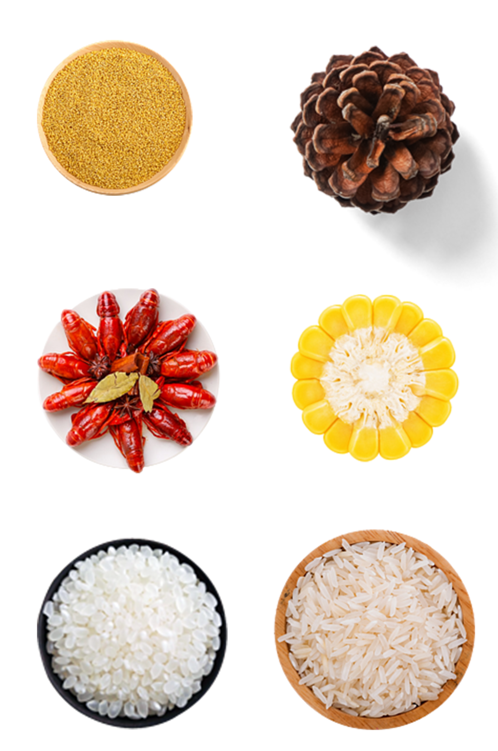 花椒logo素材_花椒logo模板_花椒logo设计图片免费下载-众图网