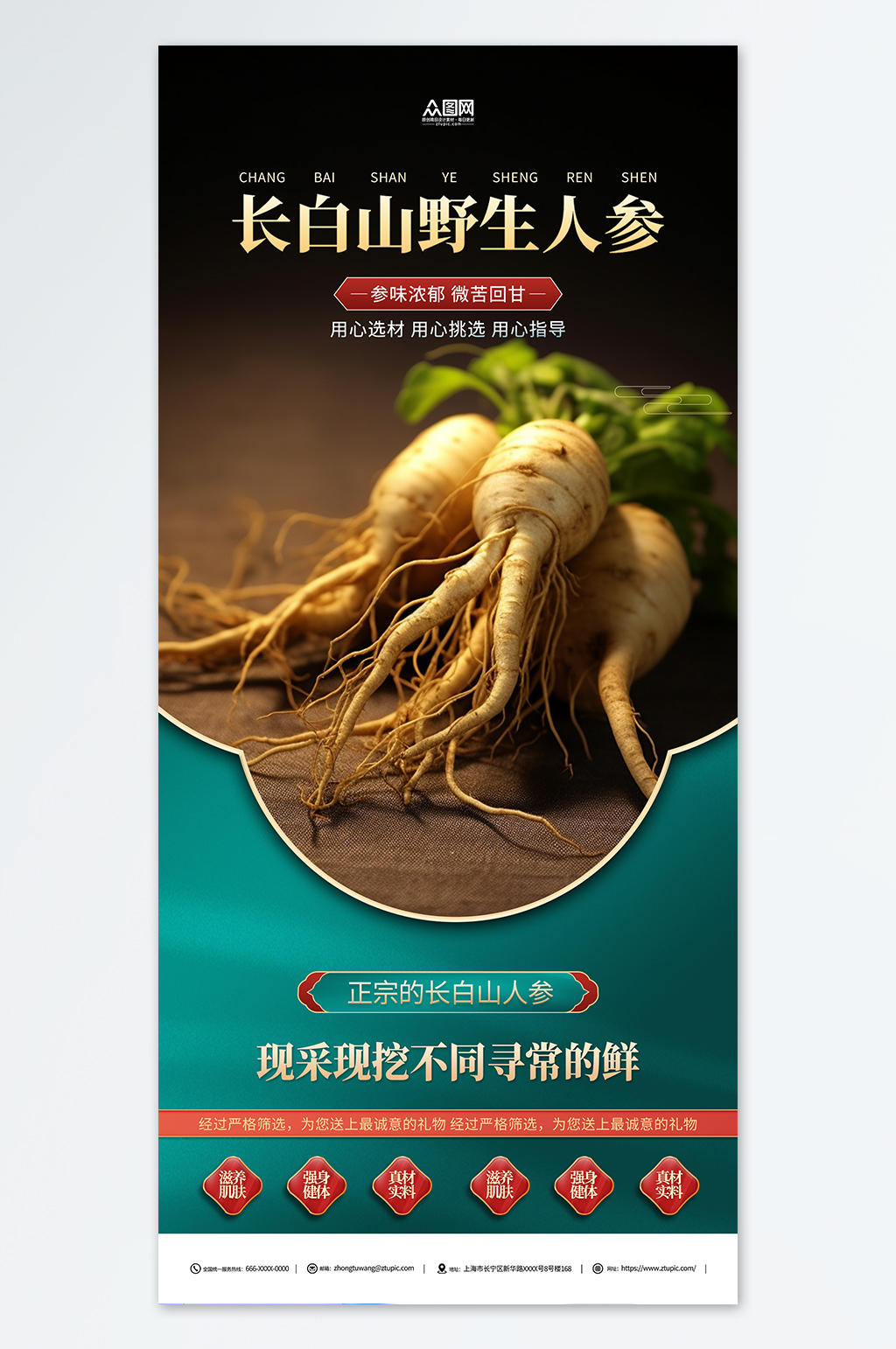 野生中药药材人参海报素材下载-众图网