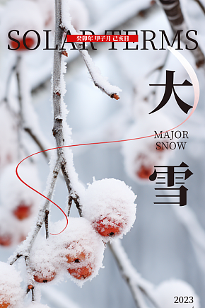 大气大雪节气二十四节气地产宣传营销海报素材下载-众图网