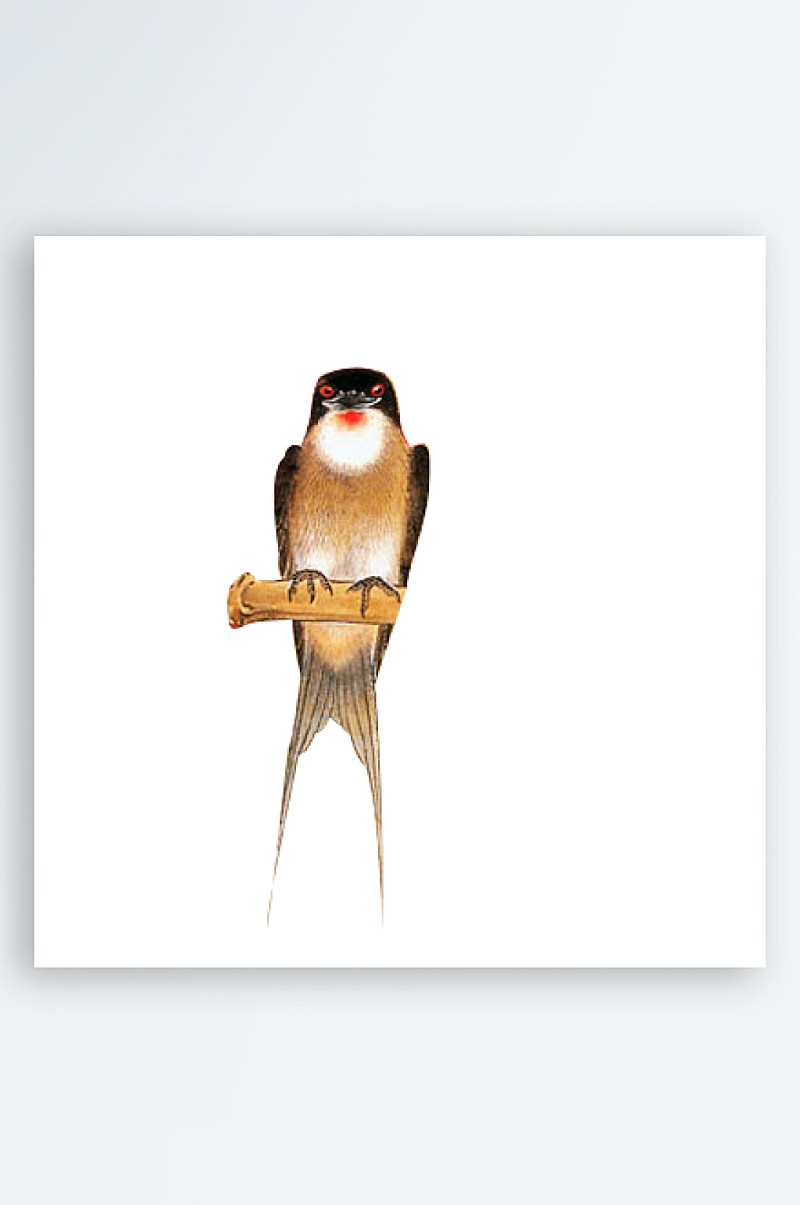 可爱大燕子素材免抠元素素材下载-众图网